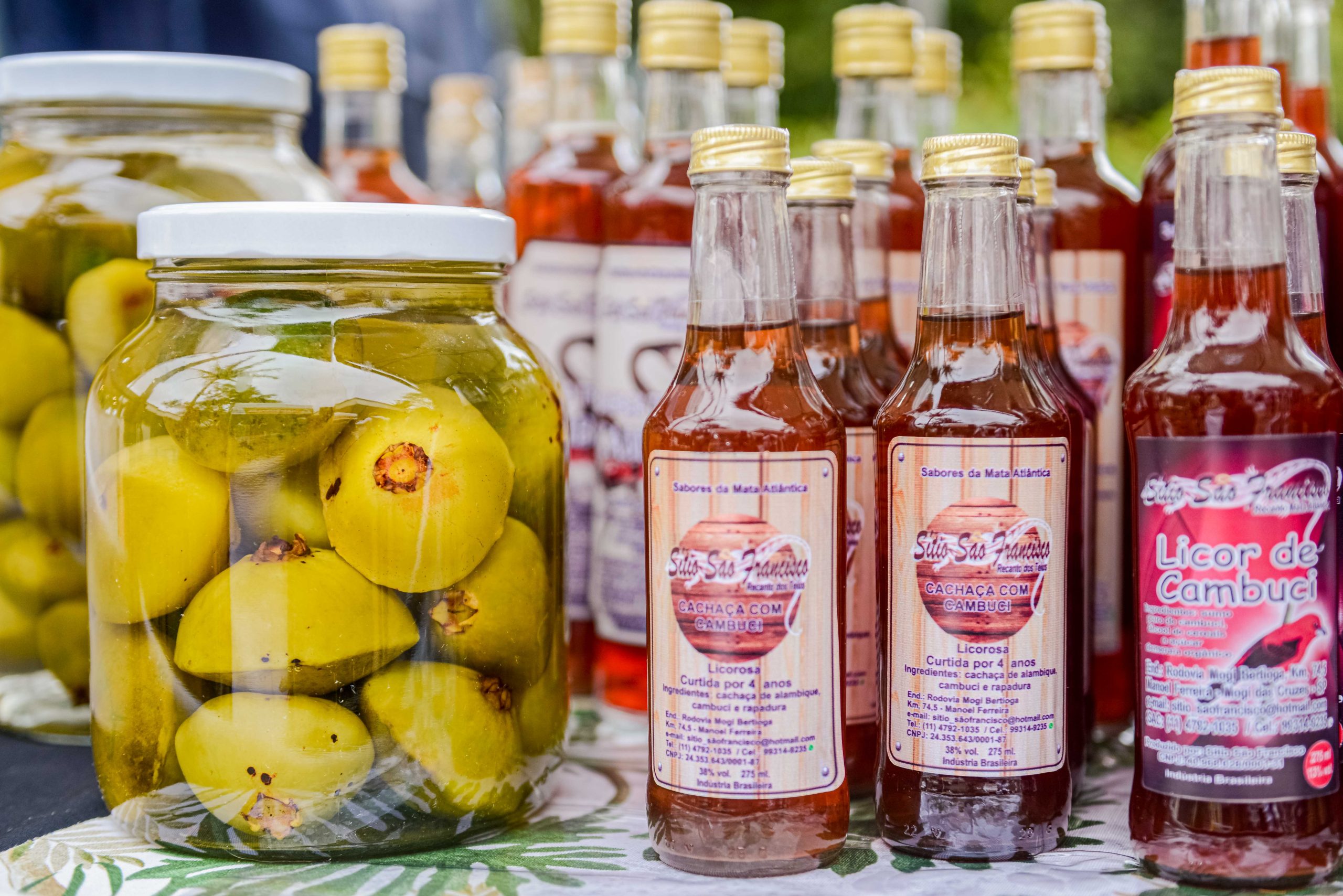 Festival do Cambuci reserva atrações em São Bernardo - ABC Repórter