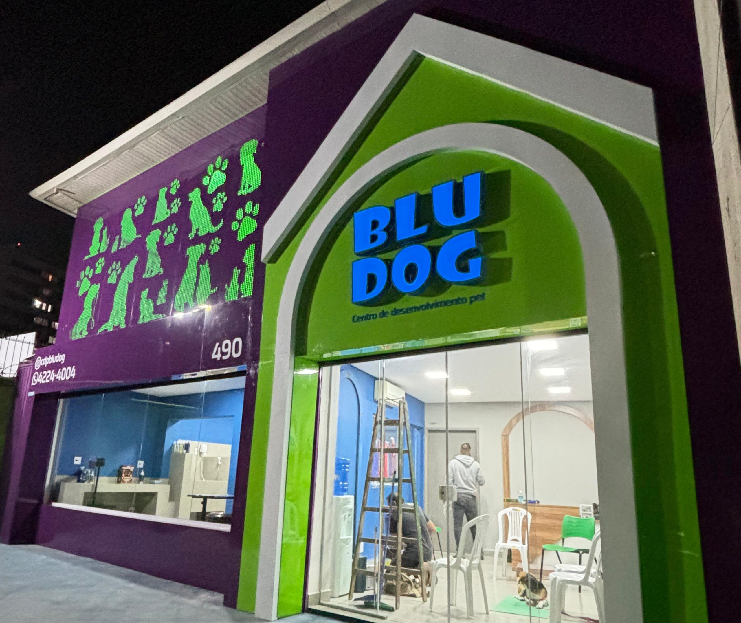Blu Dog promove educação, saúde e bem-estar para seu pet - ABC Repórter