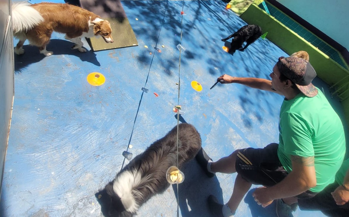CDP Blu Dog lança a Blu Week com descontos bons pra cachorro - ABC Repórter